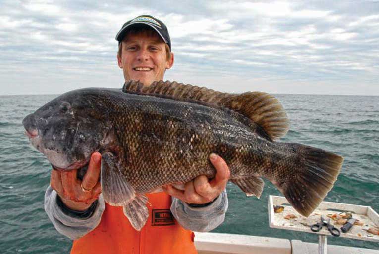 Fishing for Tricky Tog | PropTalk