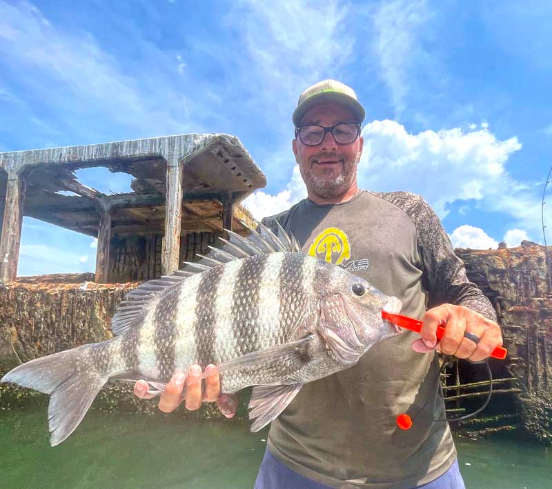 Cape Charles Virginia Fishing at Emily Jenkins blog